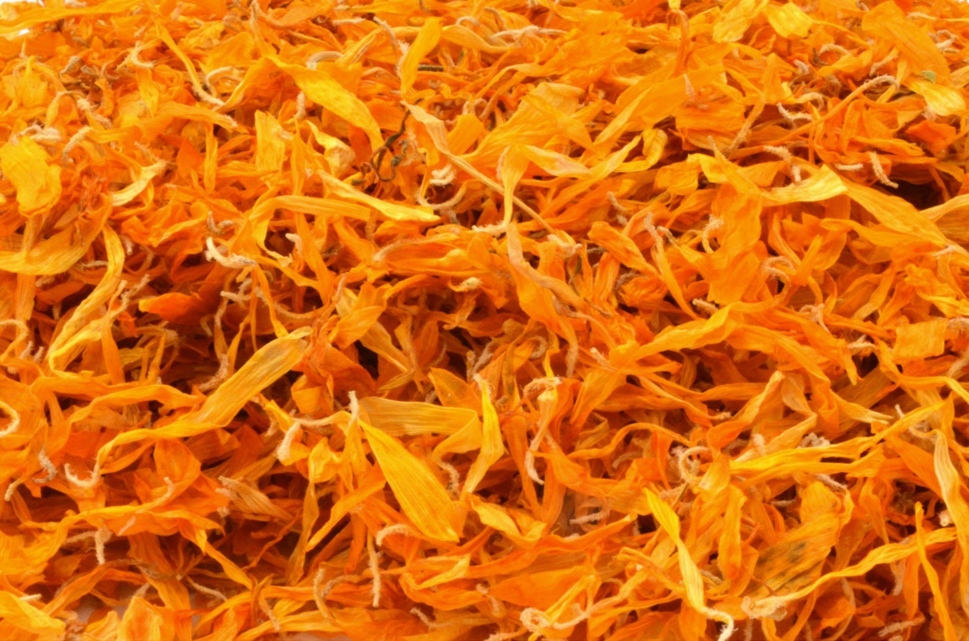 Calendula petals - La Grande Herbs